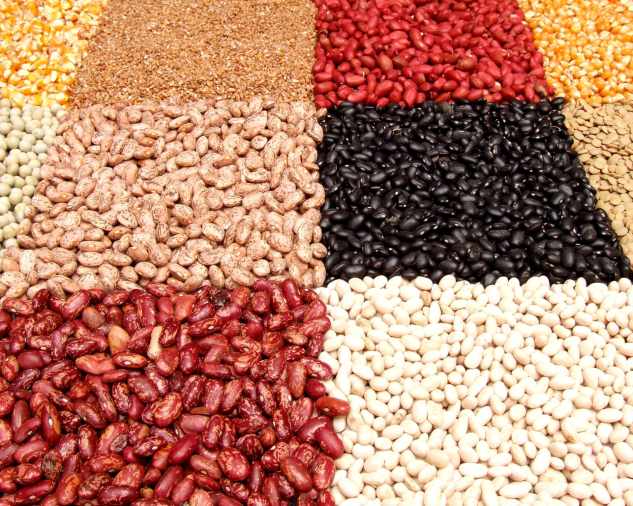 Strukoviny – gastro tipy a triky | Gastro-tipy.SK