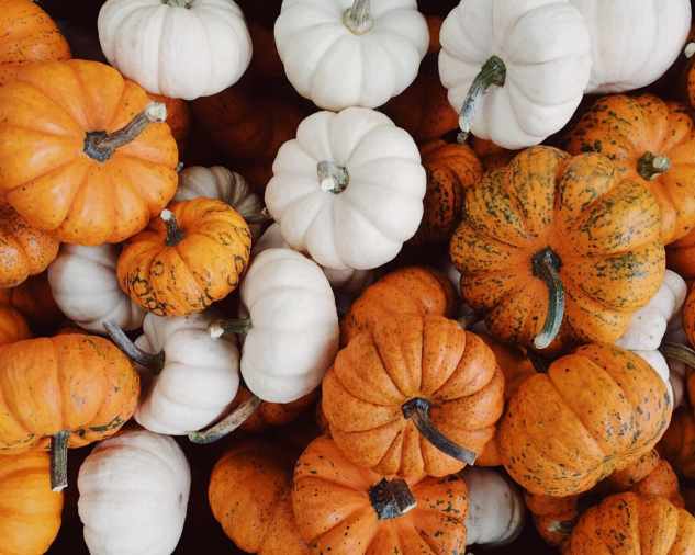 Aké druhy tekvíc poznáme a na čo sa hodia? | Gastro-tipy.SK