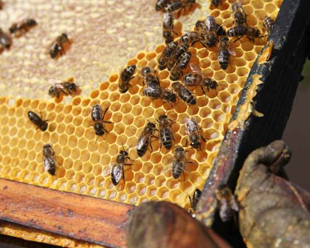 Čo pomáha liečiť popraskané pery? | Gastro-tipy.SK