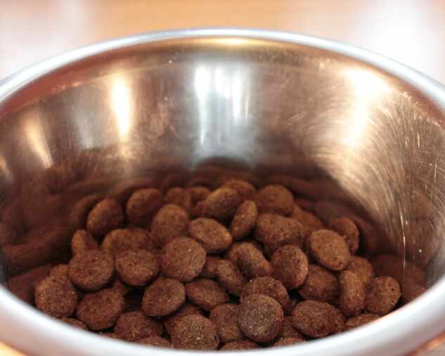 Ako vyrobiť suché krmivo pre psy alebo mačky? | Gastro-tipy.SK